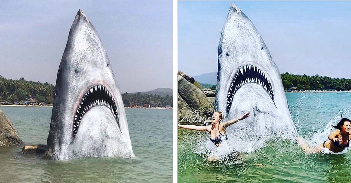 Graffiti Artist Transforms a Beach Rock Into a Gigantic Great White ...