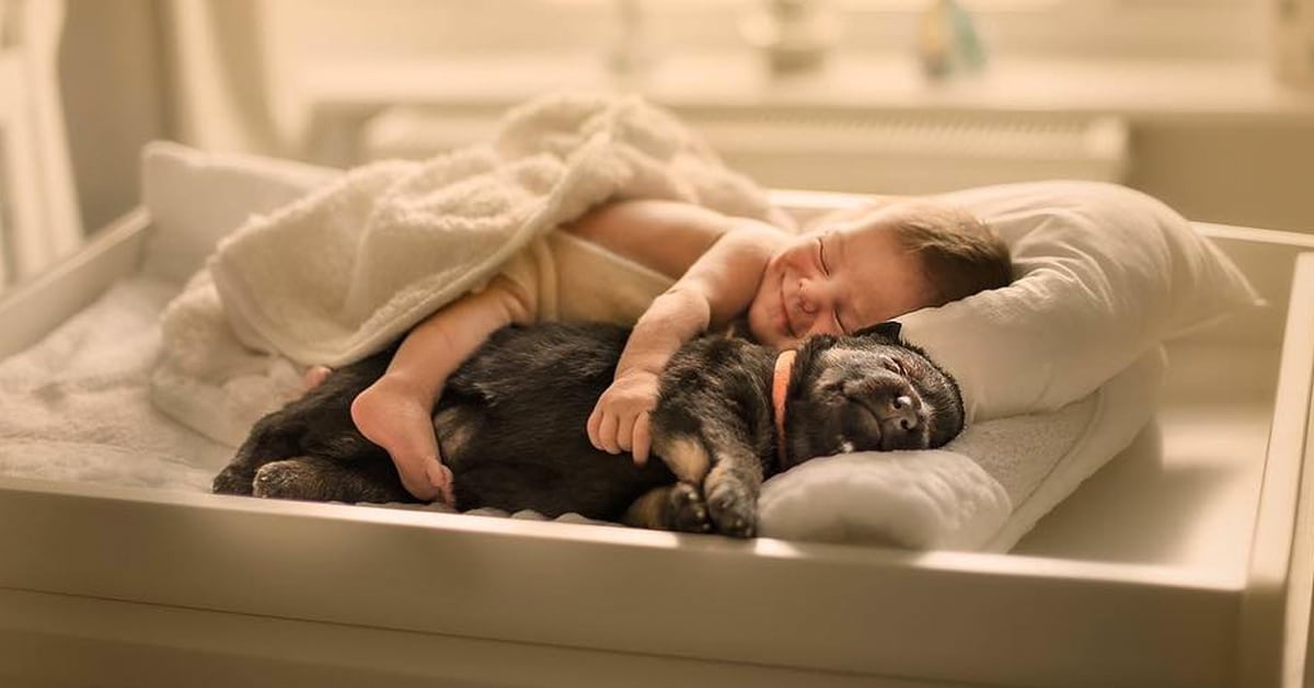 Charming Portraits of Newborn Babies Snuggling With Baby Animals | My ...
