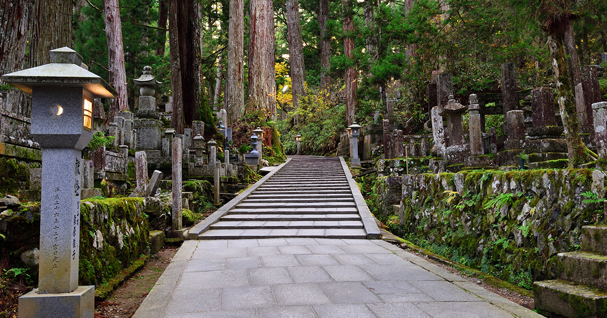 Japan’s “Tree Burials” Are Becoming a Popular Alternative to ...
