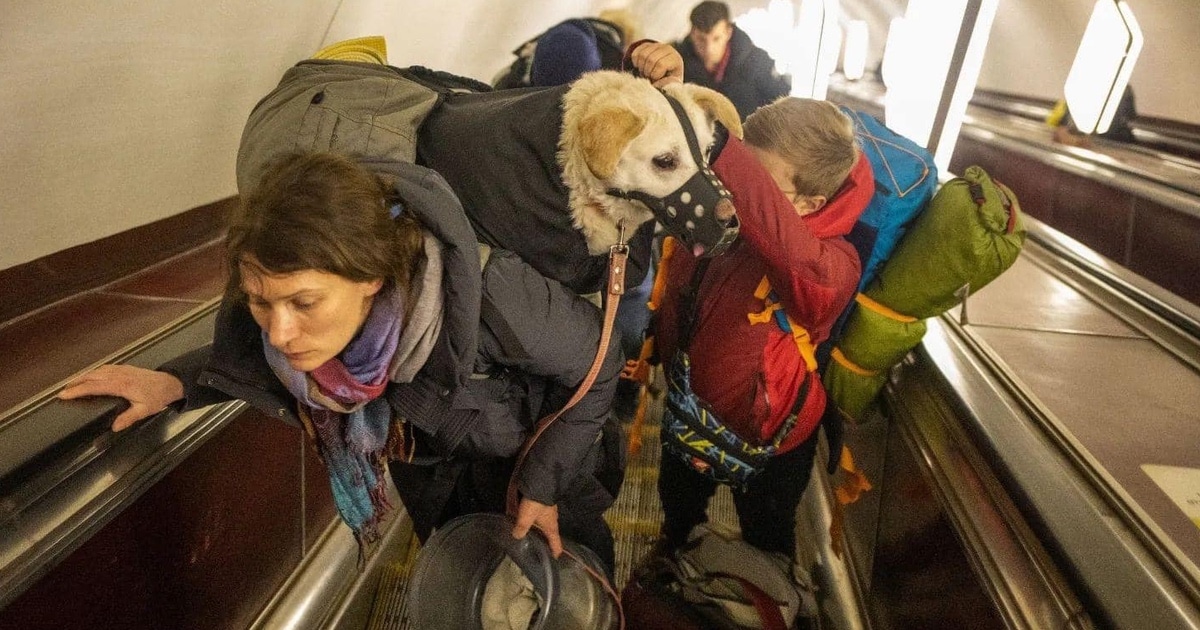 Heartbreaking Photos Show Ukrainians Fleeing Their Country With Their ...