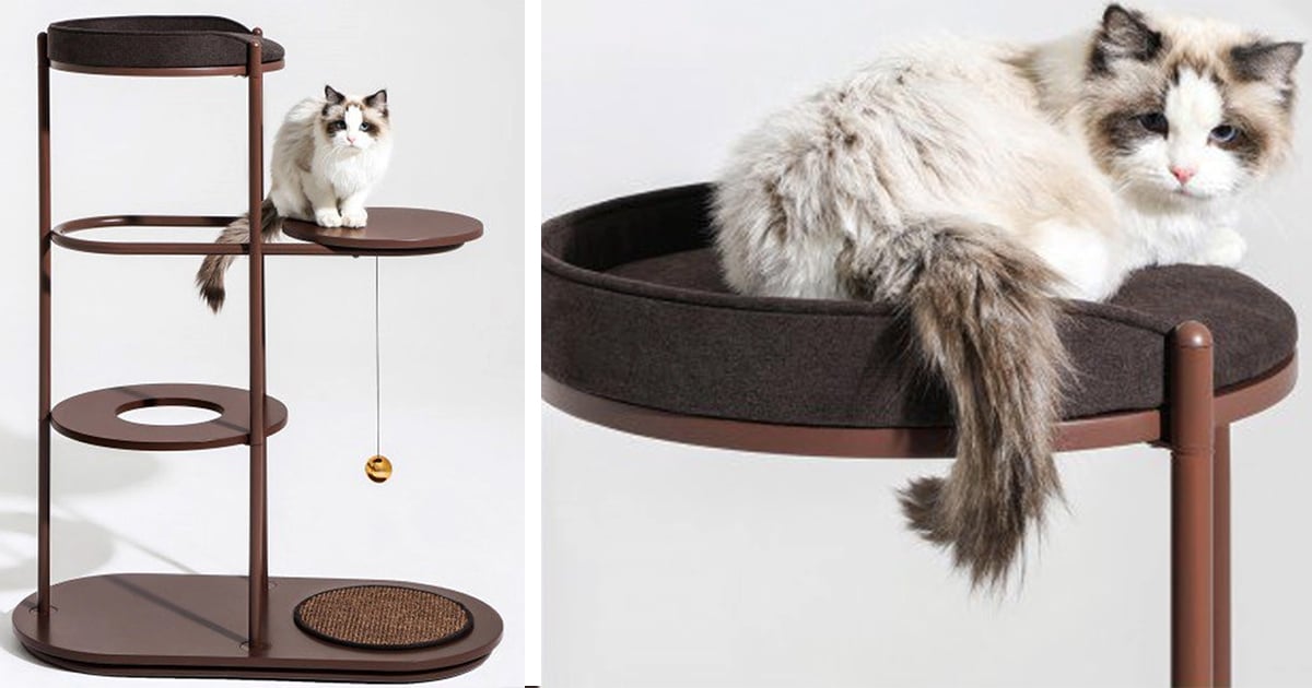 This Stylish Cat Tower Gives a Much-Needed Makeover To Traditional ...