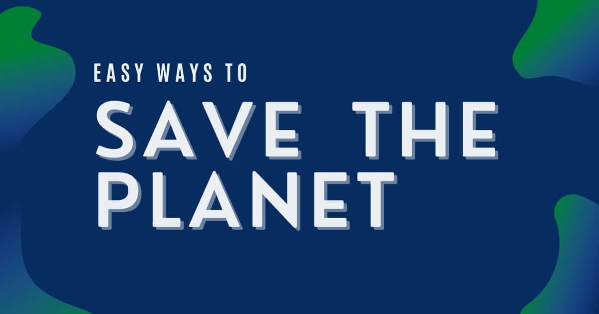 20 Easy Ways to Help Save the Environment Every Day | My Modern Met