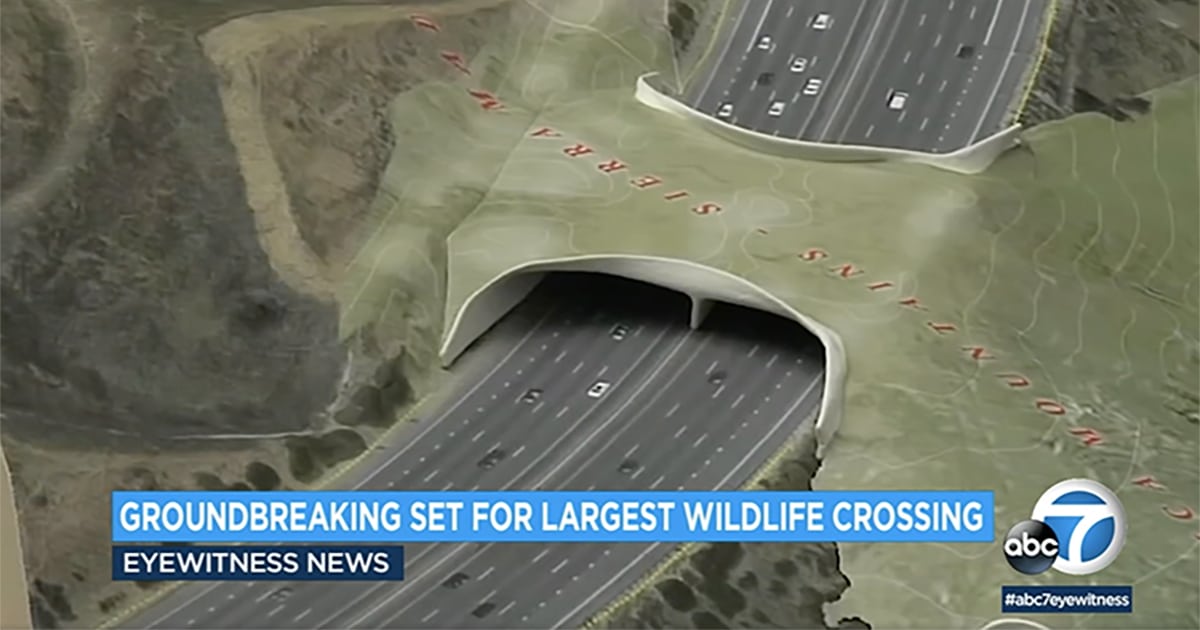 World’s Largest Wildlife Overpass Will Be Built Over 101 Freeway Near ...