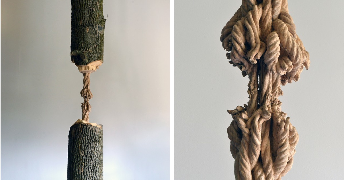 Artist Meticulously Whittles Suspended Tree Trunk Into Realistic ...