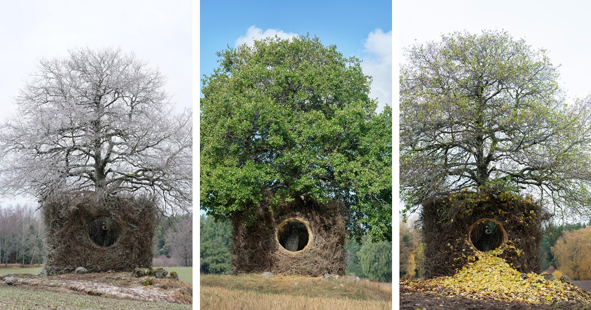 Two Artists Turn One Tree Into a Different Installation Every Season ...