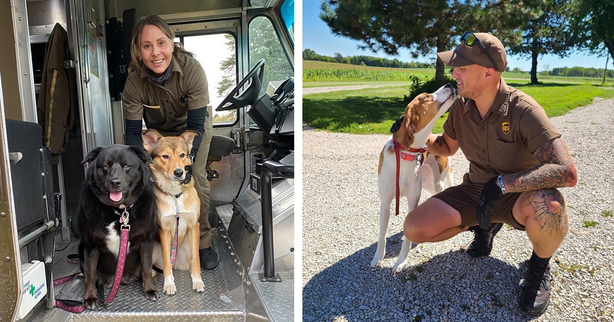 UPS Drivers Are Sharing the Friendly Dogs They Meet on the Job | My ...